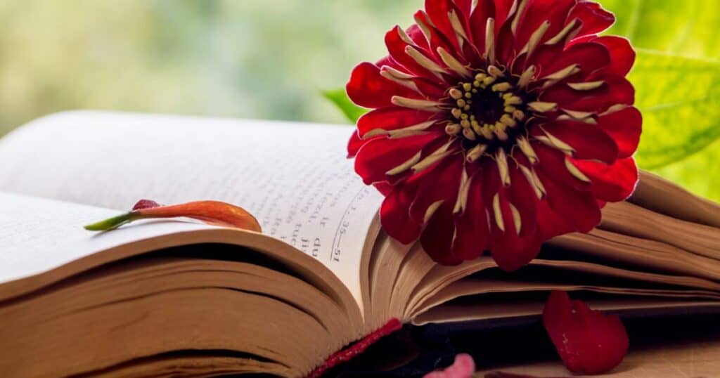 44 of the Most Beautiful Bible Verses in the Bible